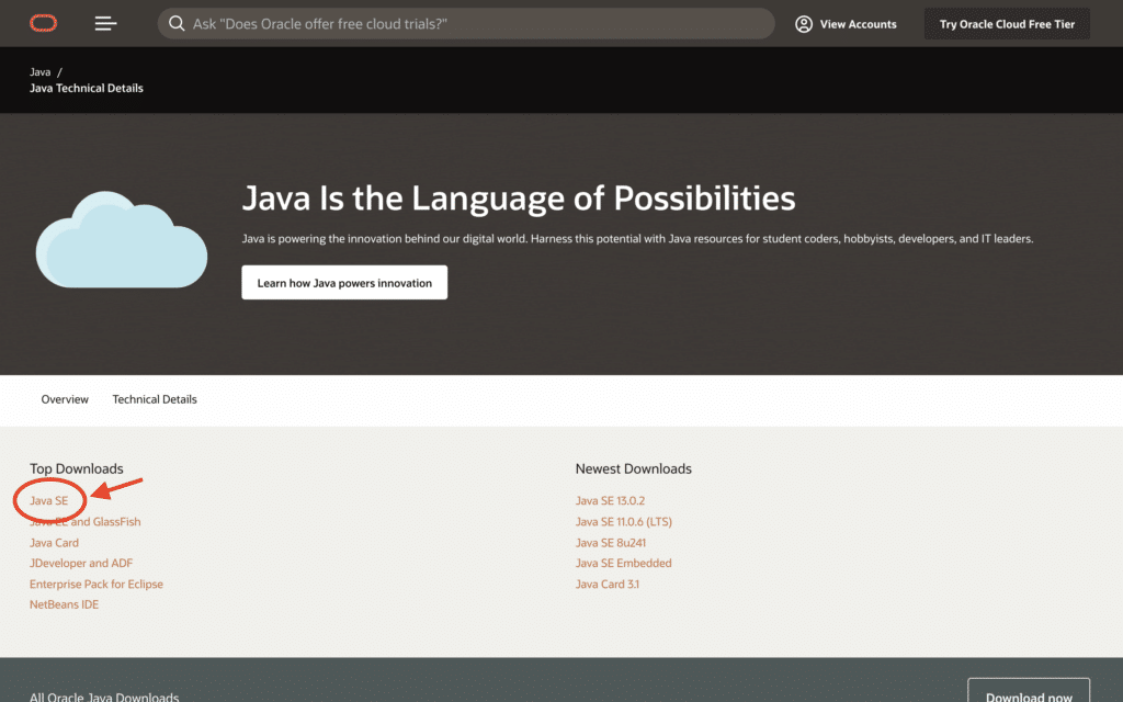 Oracle JDK11 インストール手順＜Windows向け＞ - IT入門書籍 スッキリシリーズ
